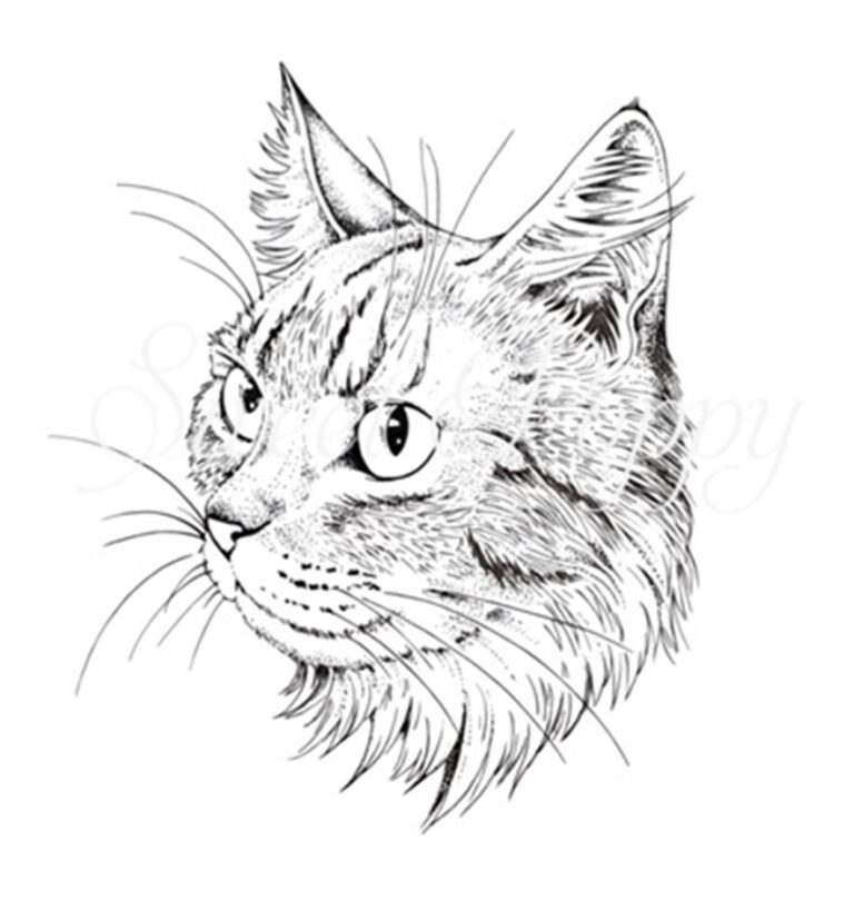 Cat Stamp - Sweet Poppy Stencils
