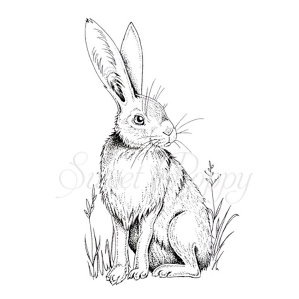 Hare Stamp - Sweet Poppy Stencils